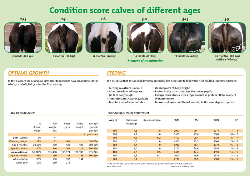 Cattle Information Charts Veepro Holland Cattle Information Charts Veepro Holland
