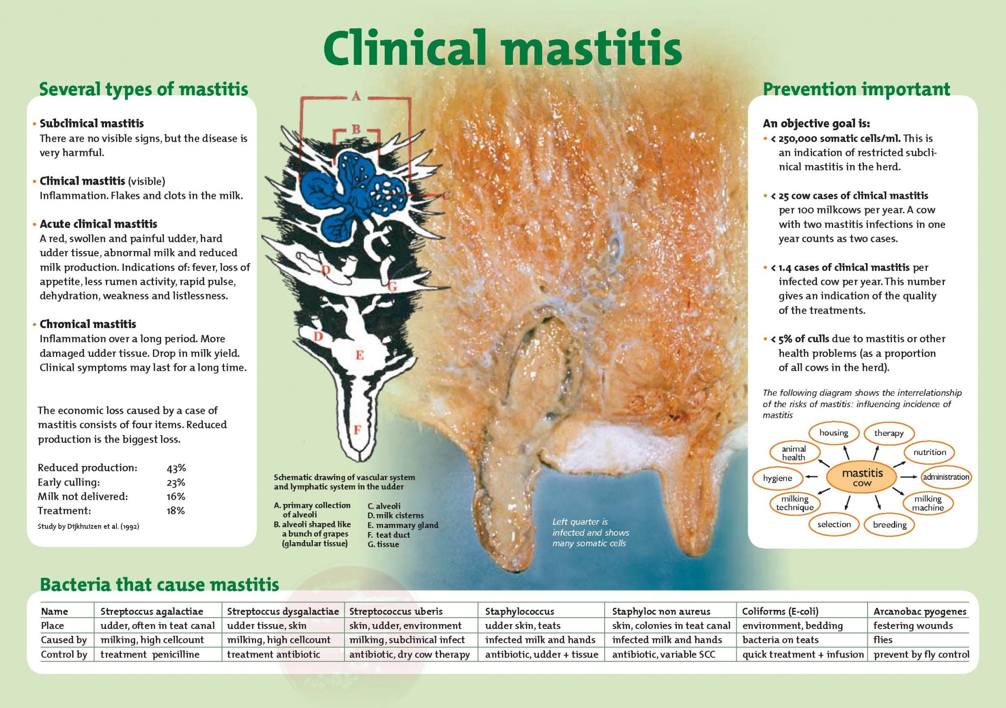 Cattle information charts - Veepro Holland